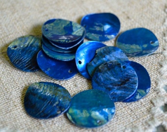 Mussel shells | Etsy