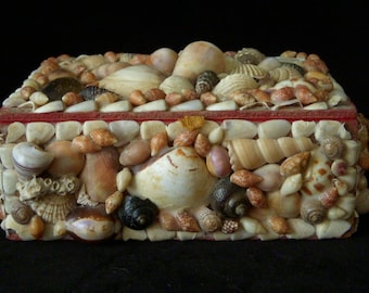 Popular items for seashell box on Etsy