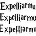 Expelliarmus Spell The Disarming Charm Perfect for Toilet