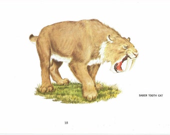 Popular items for saber toothed cat on Etsy