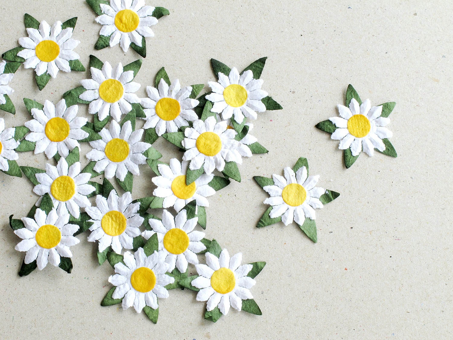 25mm White Die Cut Daisy 20 flat paper flower with yellow