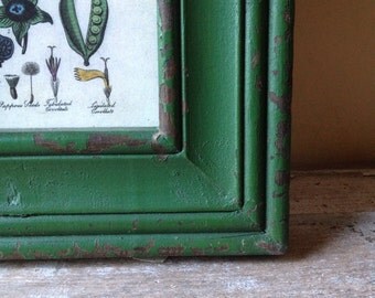 Popular items for chippy green paint on Etsy