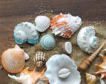 Edible Oyster Shells Chocolate in a Half by andiespecialtysweets