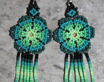 huichol peyote patch