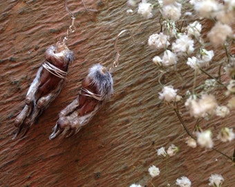 Popular items for squirrel feet on Etsy