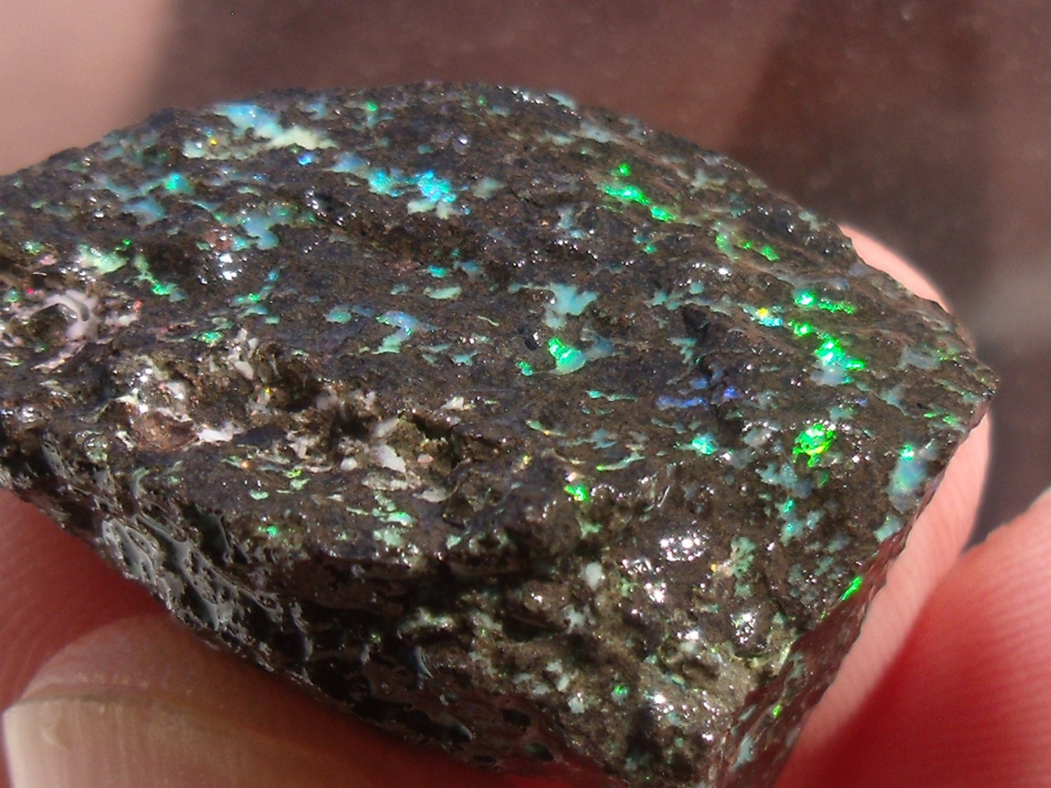 54.71 Cts. Rough mexican leopard opal