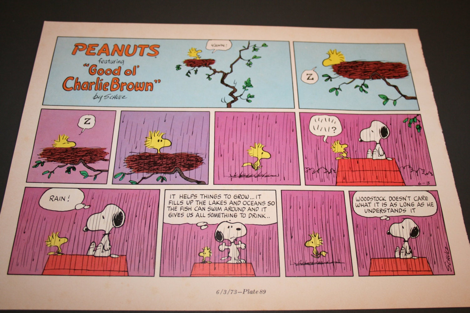 Woodstock nap Snoopy comic Rain Charlie Brown Peanuts Comic
