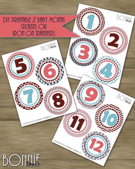 PRINTABLE DIY Monthly Baby Stickers or Iron On Transfers