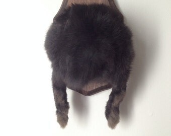 Small Taxidermy Rabbit Butt Mount
