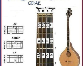 Popular items for irish bouzouki on Etsy