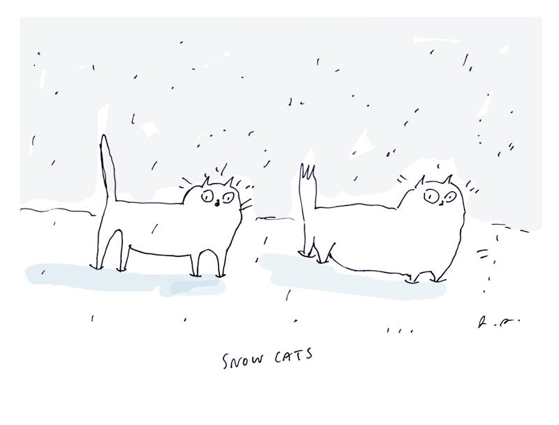 Snow Cats Funny Cat Art Winter Blizzard by jamieshelman on Etsy