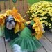 Unique Sunflower Dog Halloween Costume for small-medium breed