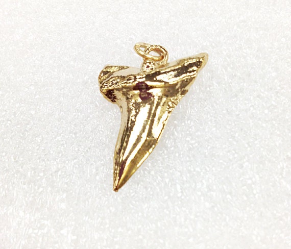 24 K Gold Plated Real shark tooth pendant charm Gold shark