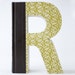 Alphabet Book Letter R Book Cut Letter