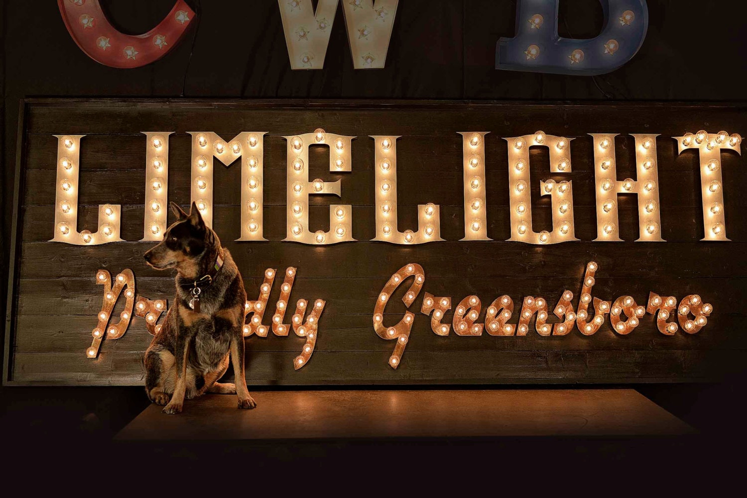 Custom Marquee Sign 3.5'x10' custom signs LIGHTED