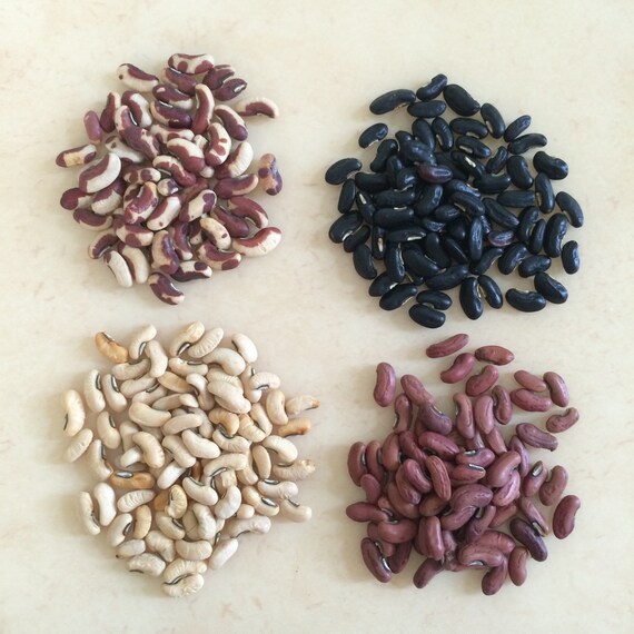 Items similar to yard long bean seeds 100 grams, organic yard long bean, white seeds, red seeds ...