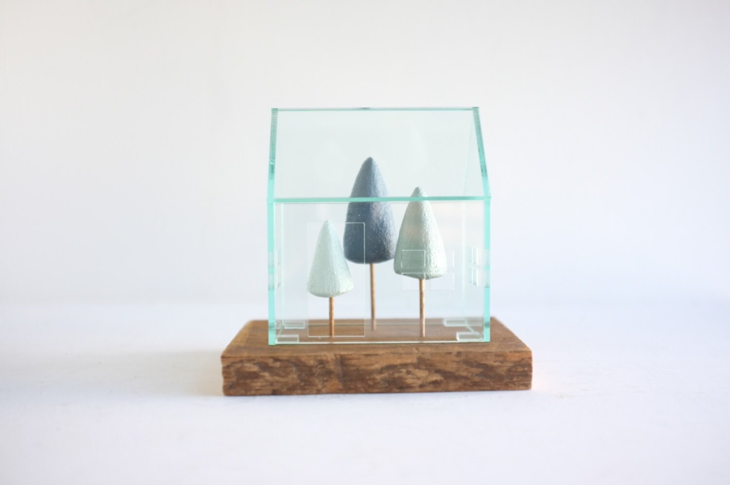 Miniature terrarium structure with evergreen trees – pine trees in ...