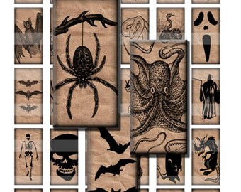 Popular items for creepy crawly on Etsy
