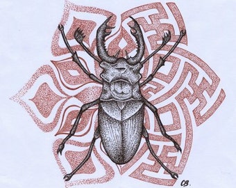 Dotwork Beetle Illustration