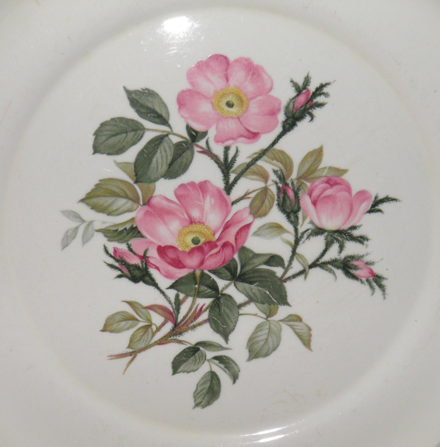 Vintage Harker Pottery Wild Rose Pattern China Dinner Plate with 22K ...