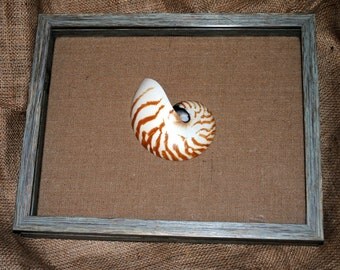 Seashell shadow box | Etsy