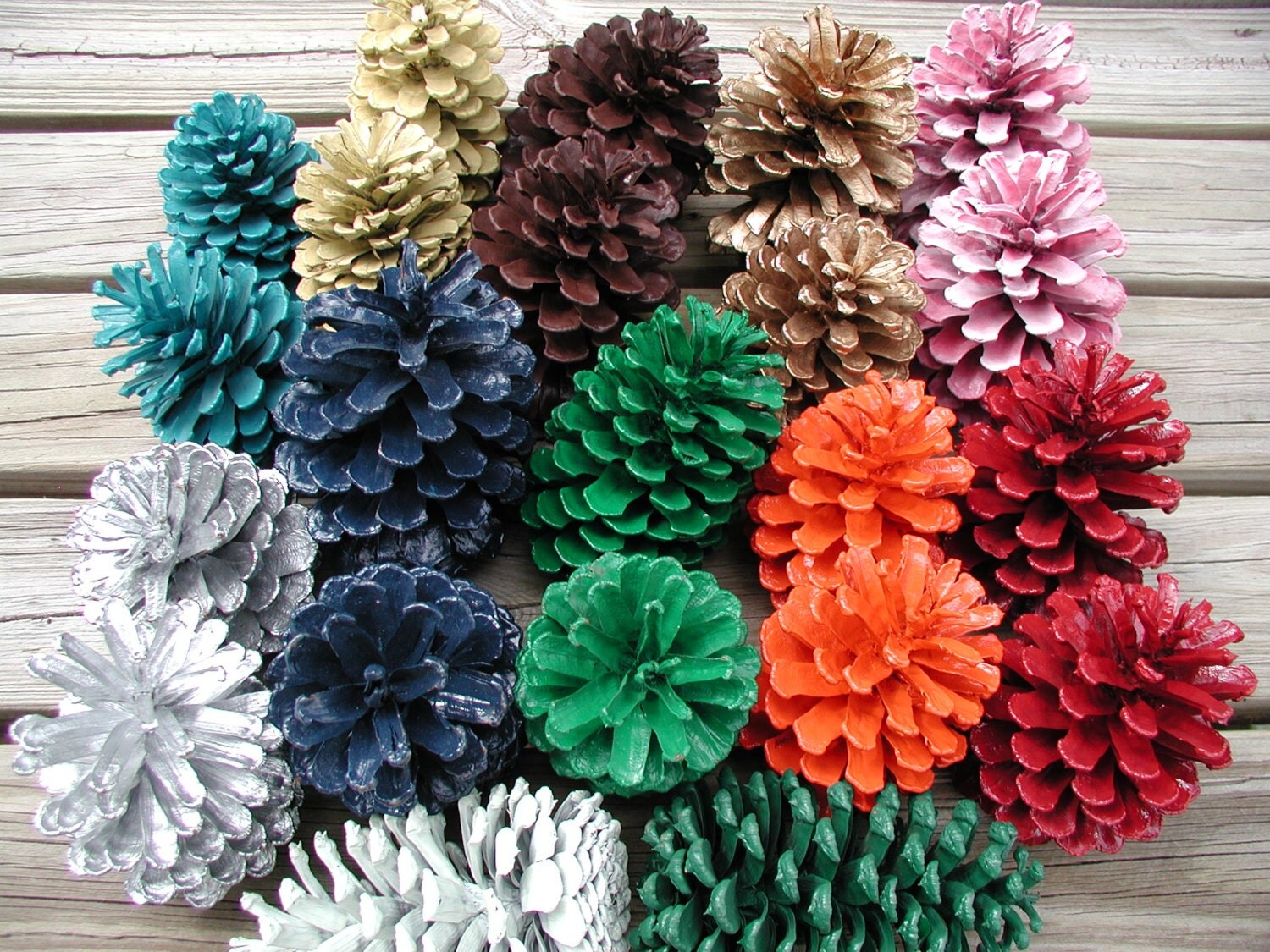 Painted Pinecones from Florida Home Decor Cones by rrdesigns561