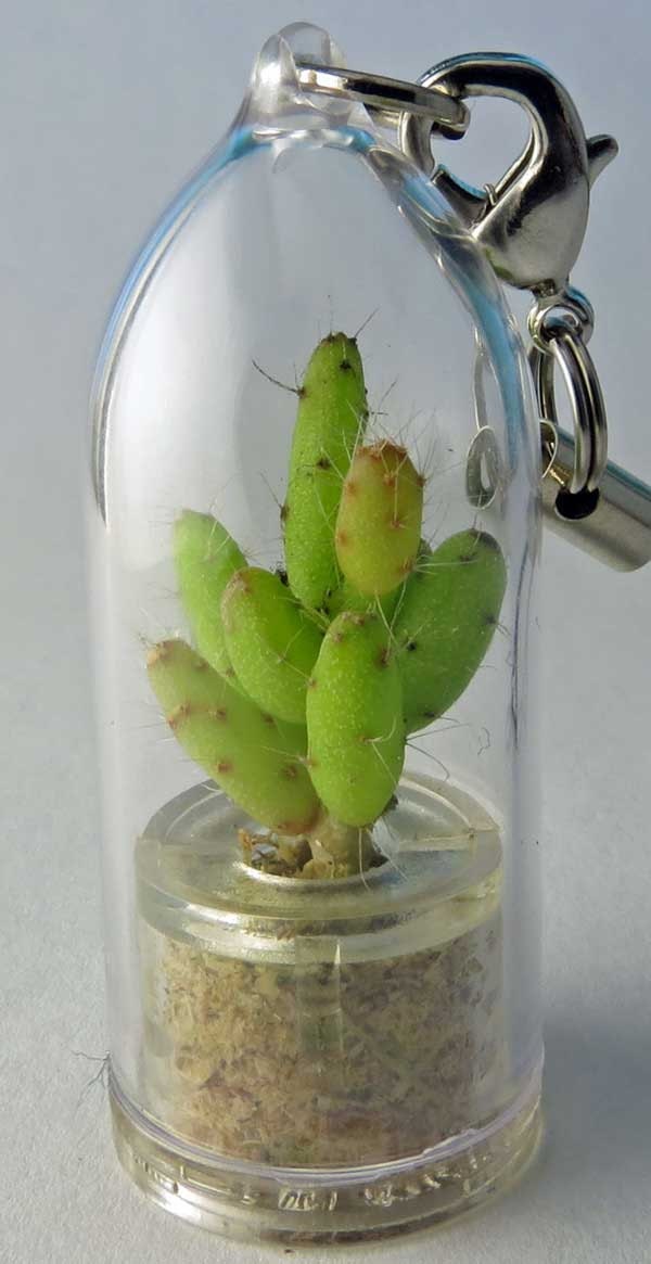 Boo-Boo Plant by BooBooPlant on Etsy