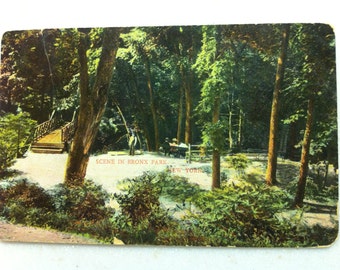 Park postcard | Etsy