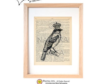 Popular items for bird with crown on Etsy