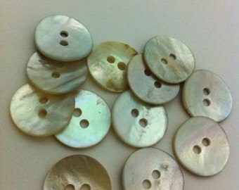Shell Buttons - 12 pcs - 15 mm - Natural Buttons - Sea Shell Buttons