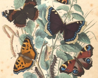 Small copper plate | Etsy