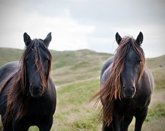 Fantasy art surreal horse photo magical nursery art girls