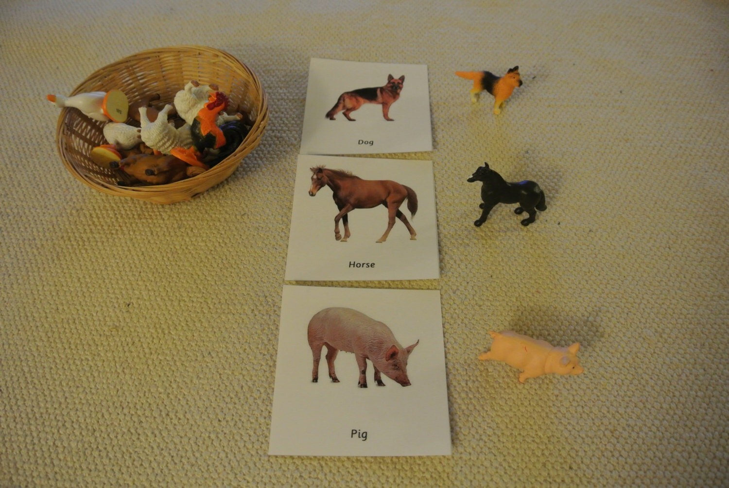 Montessori Common Farm Animals 3 Part Cards with by Papyruswork