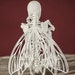 Fairy Skeleton 3D Print Taxidermy