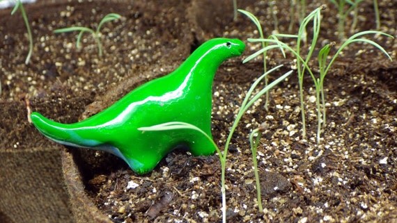 Items similar to Little Brontosaurus Terrarium Mini on Etsy