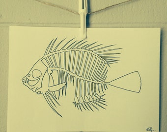 Ink drawing of fish skeleton