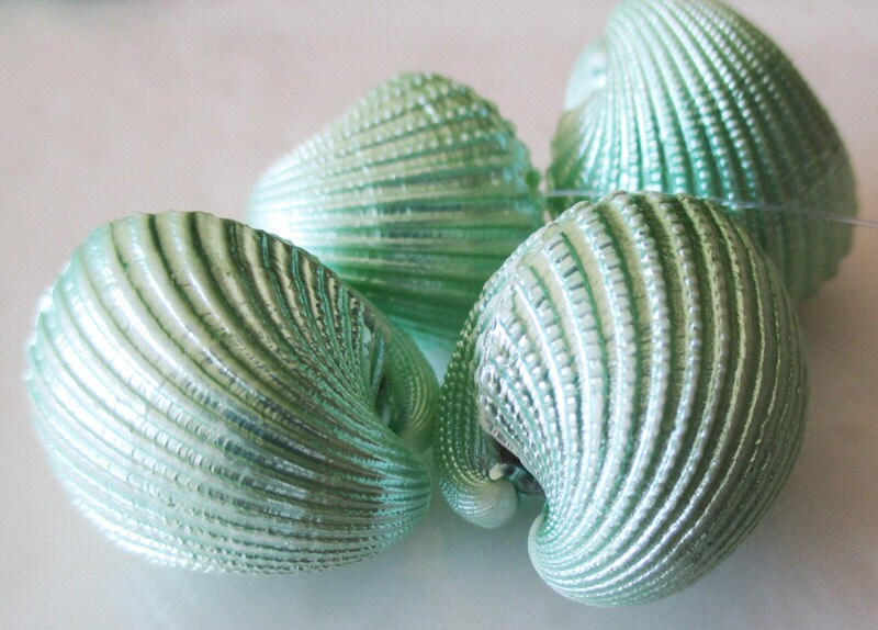 Whole Clam Shell Beads Mint Green Shells by ItsAJewelryThing