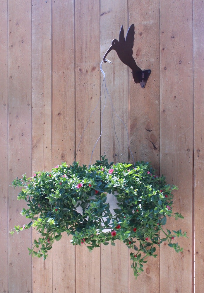 Hand Made Hummingbird Wall Plant Hanger NEW by swenproducts