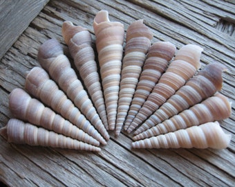 Popular items for turret on Etsy