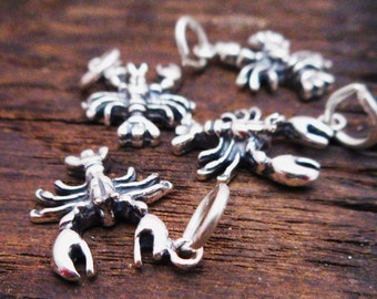 Popular items for crawfish crawdad on Etsy
