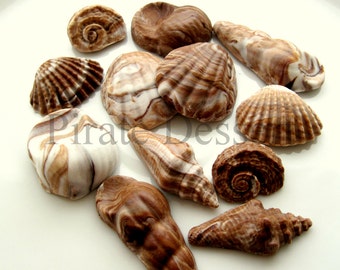 Essbare muscheln | Etsy