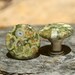 Rain Forest Jasper Cabinet Knobs or Drawer Pulls Smaller