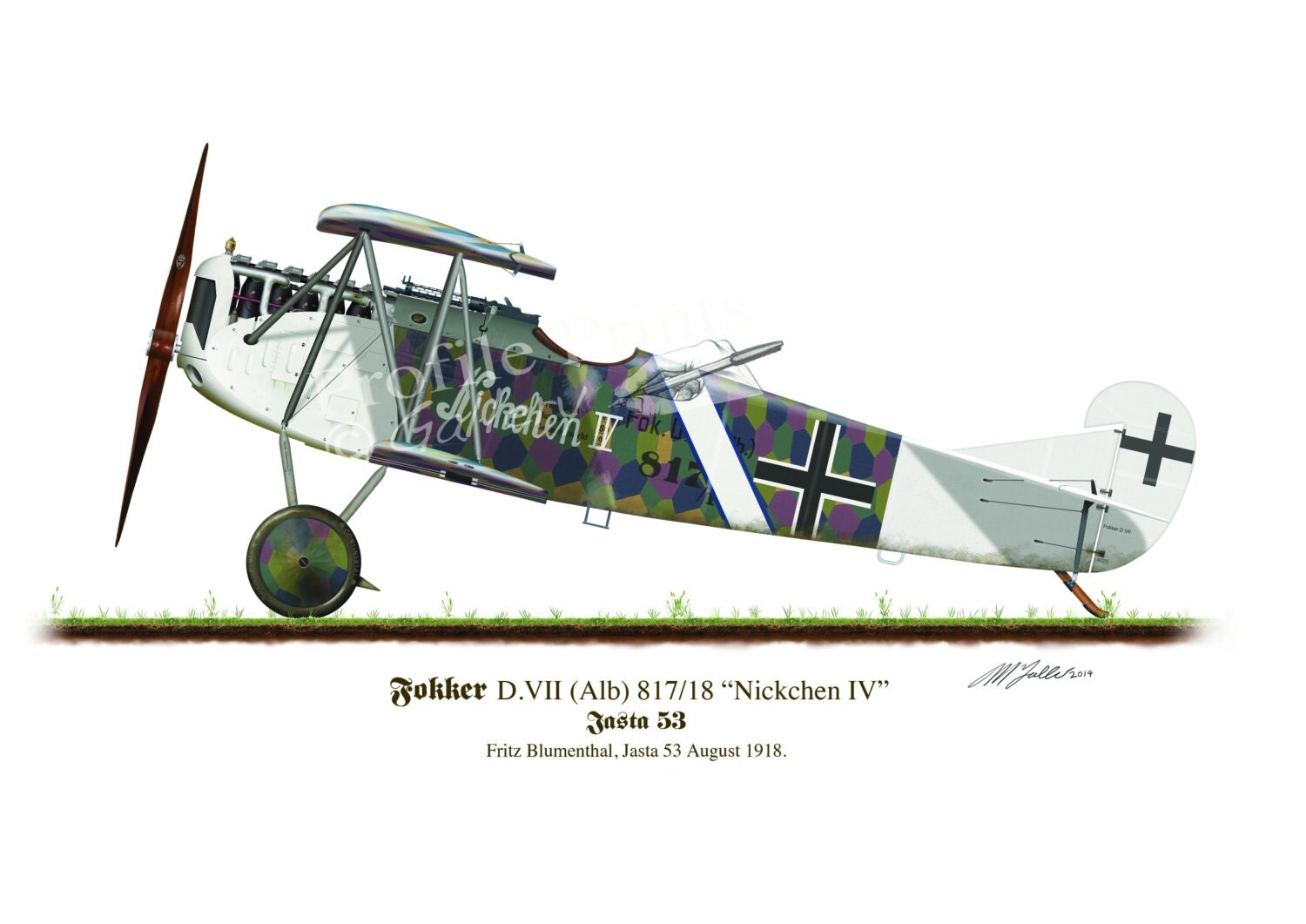 Fokker D.VII Vintage Aircraft Profile Artwork A5 / A4