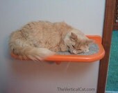 The Vertical Cat by TheVerticalCat on Etsy