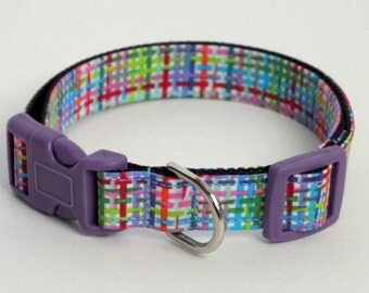 Popular items for colorful dog collar on Etsy