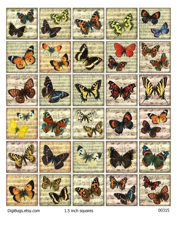 Digital Collage Sheet Printable Butterfly Images Music by DigiBugs