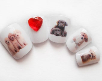 Popular items for puppy nail on Etsy