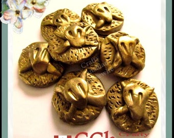 Pirate Bounty Treasure Coin polymer clay craft kit made in Canada