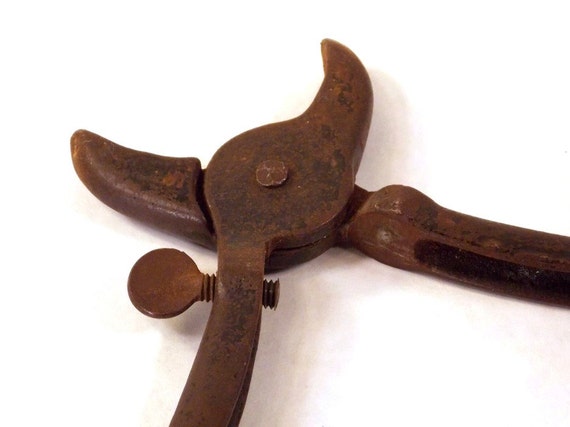 Items similar to Antique Farming Tool, Drop Forged Steel, Hog Nose Ring ...