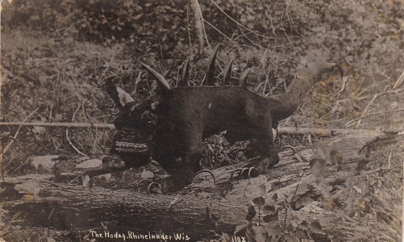 The Legendary Hodag of Rhinelander Wisconsin Cryptid